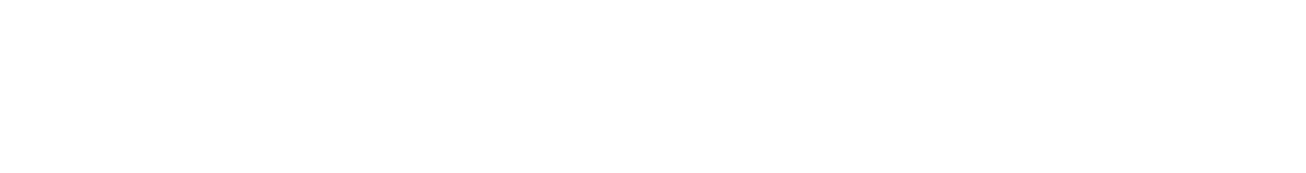 Ausstattung und Technik : Tischer-Pickup